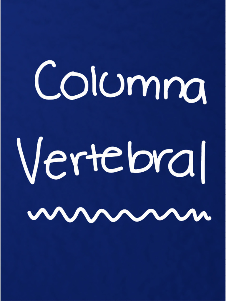 Anatomía 3 parcial -dorso[1] | PDF