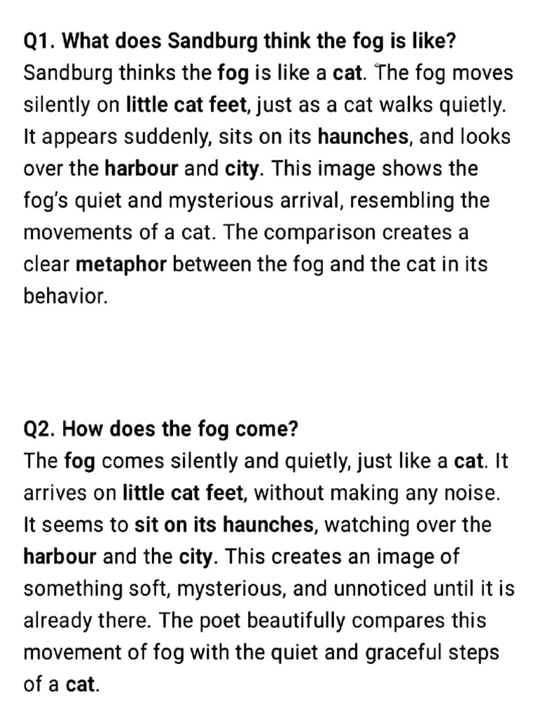Fog | PDF