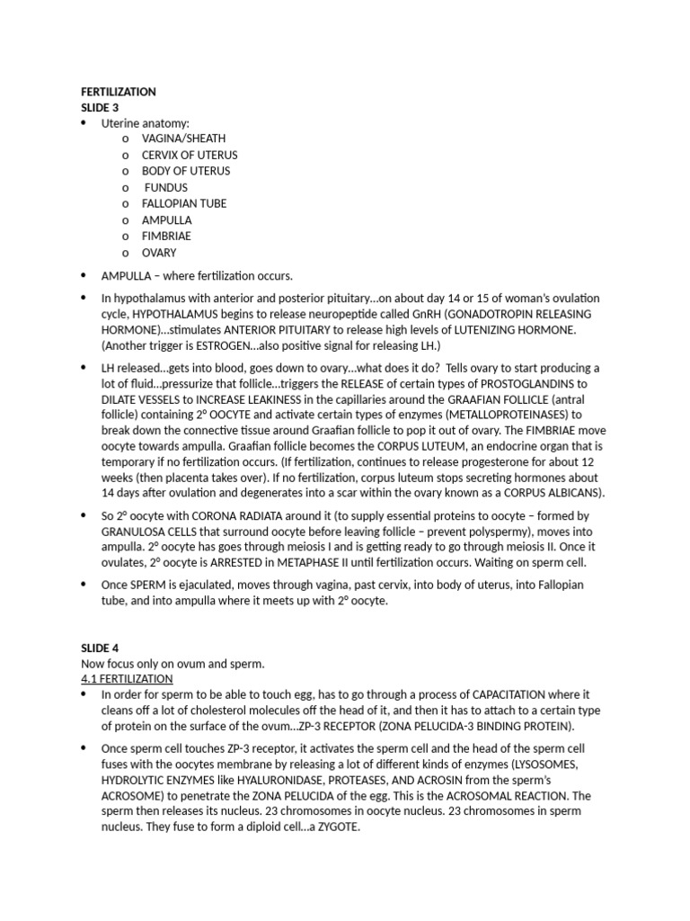 Development Bio Drawing Notes | PDF | Chemical Synapse | Inhibitory ...