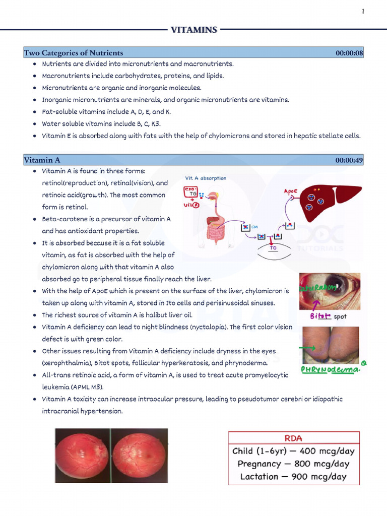 Vitamins | PDF