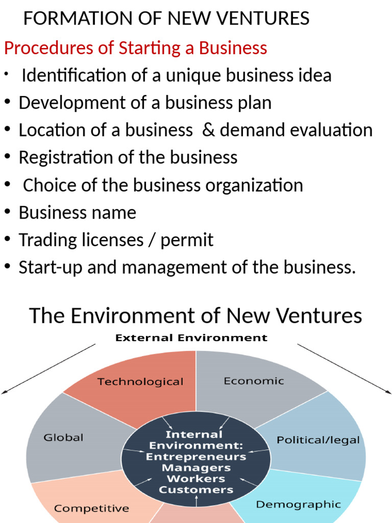 BUCU_004_LESSON_4_FORMATION_OF_NEW_VENTURES[1] | PDF