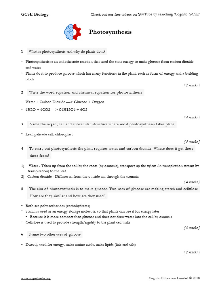 1.1B GCSE Biology Photosynthesis Worksheet Answers | PDF ...