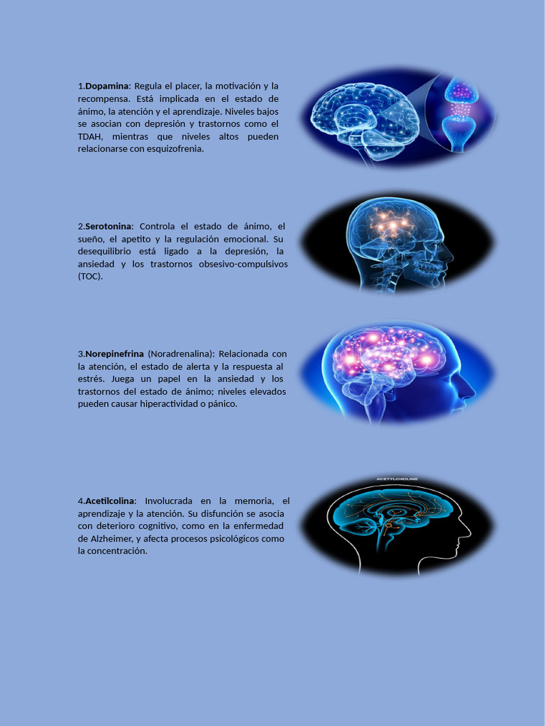 Neuro Transm I Sores | PDF