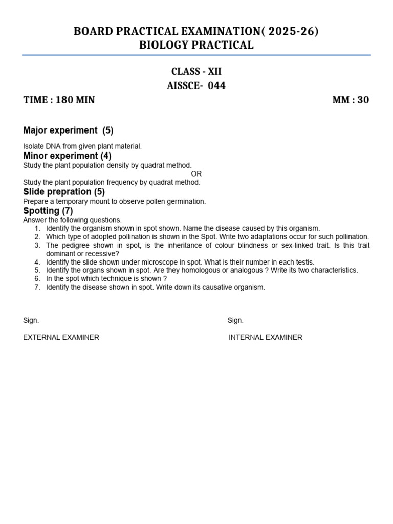 12th Practical Exam Paper | PDF
