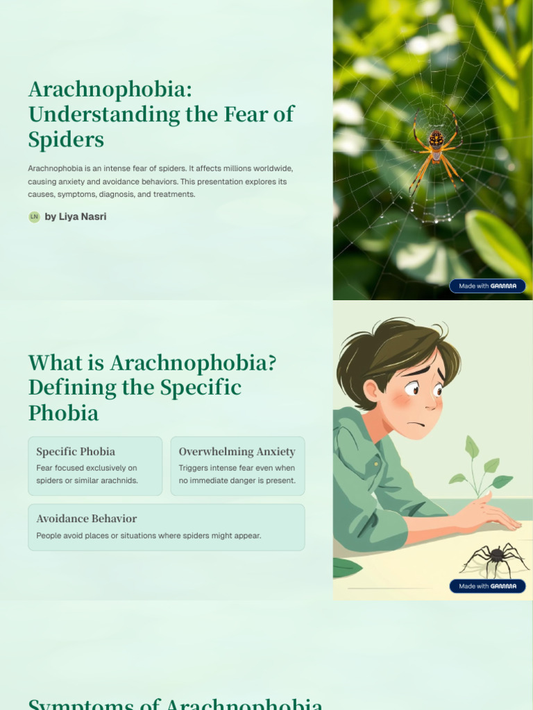 Arachnophobia Understanding The Fear of Spiders | PDF