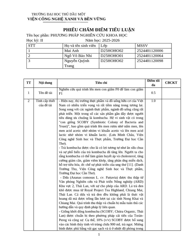 2.1 Giữa kì - Phiếu chấm tiểu luận | PDF