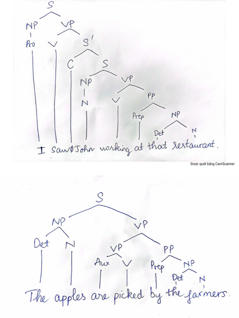 Tree Diagram | PDF