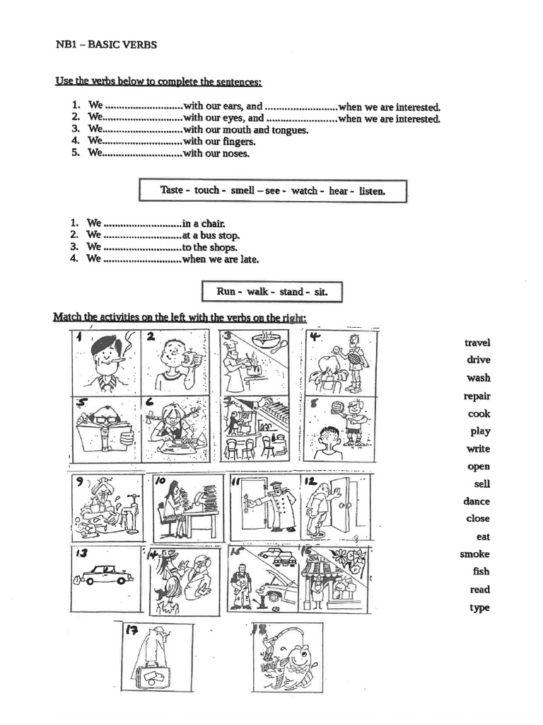 Basic Verbs A1 | PDF