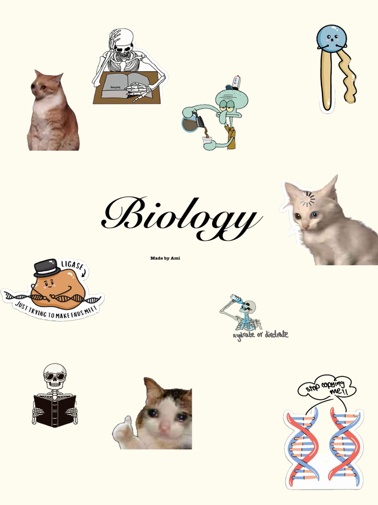 Bio Notes Amiii? | PDF | Fertilisation | Ovary