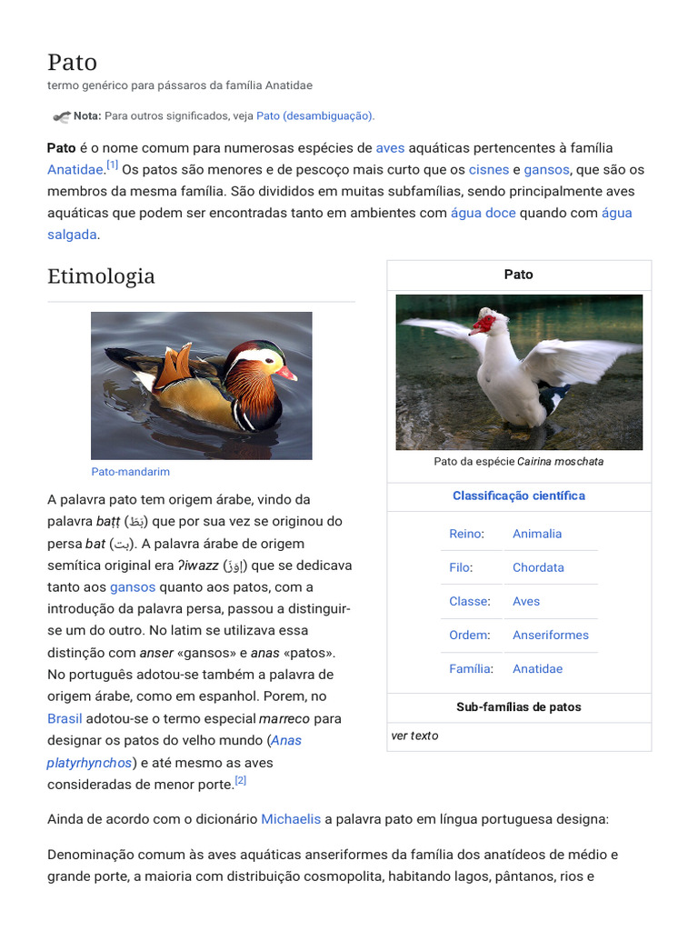 Pato - Wikipédia, A Enciclopédia Livre | PDF | Pato | Aves