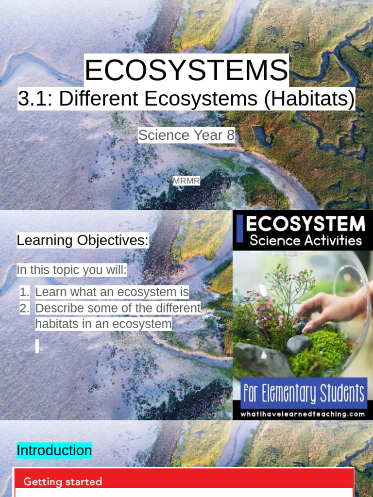 3.1_ Different Ecosystems (Habitat) Yr8 | PDF | Habitat | Ecosystem