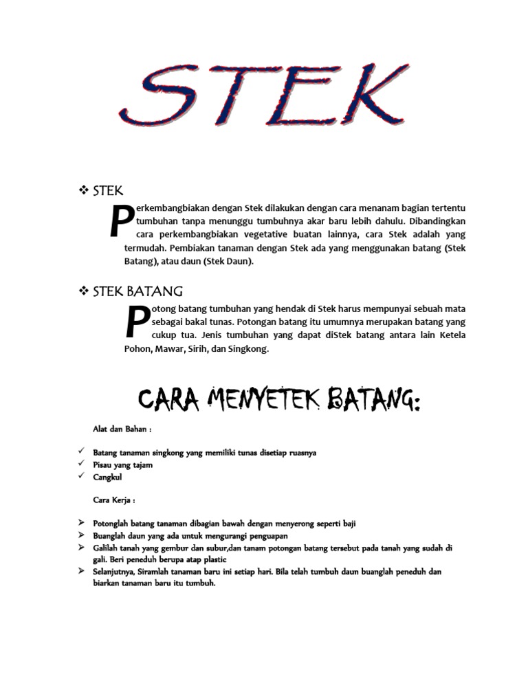 STEK | PDF