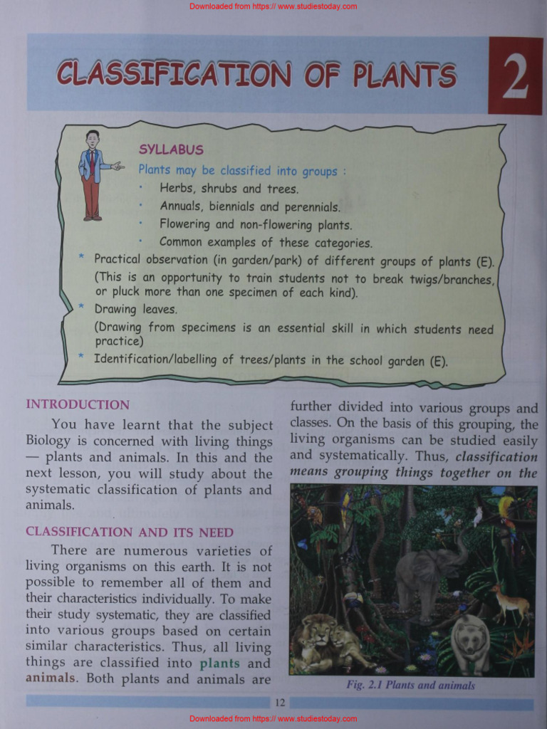 ICSE Class 6 Biology Chapter 2 Classification of Plants | PDF