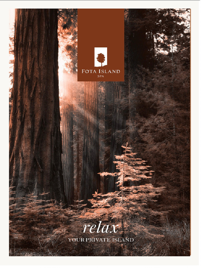 Fota Spa Brochure 4-12-24 | PDF | Massage | Spa