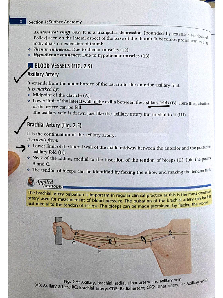 Surface Marking Uni | PDF