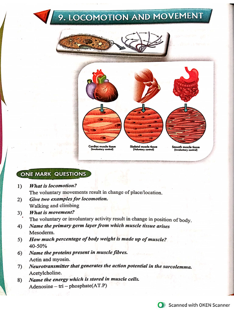l Puc Biology Ch-17-Locomotion and Movement | PDF