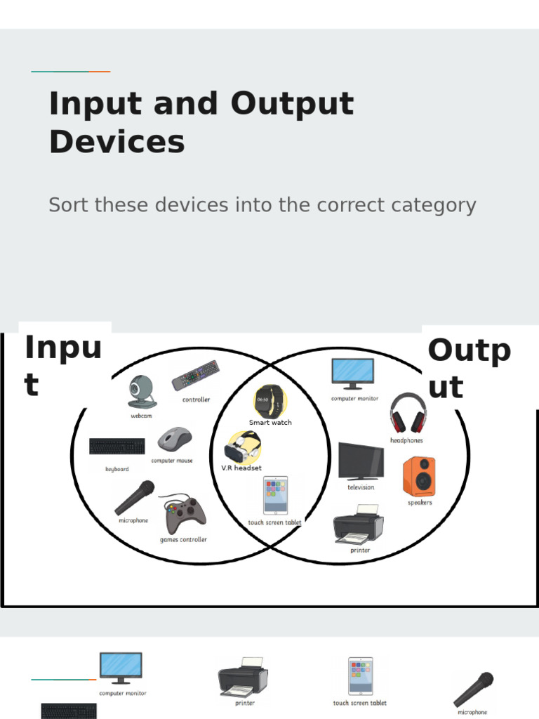 WK25 - Input and Output Devices | PDF