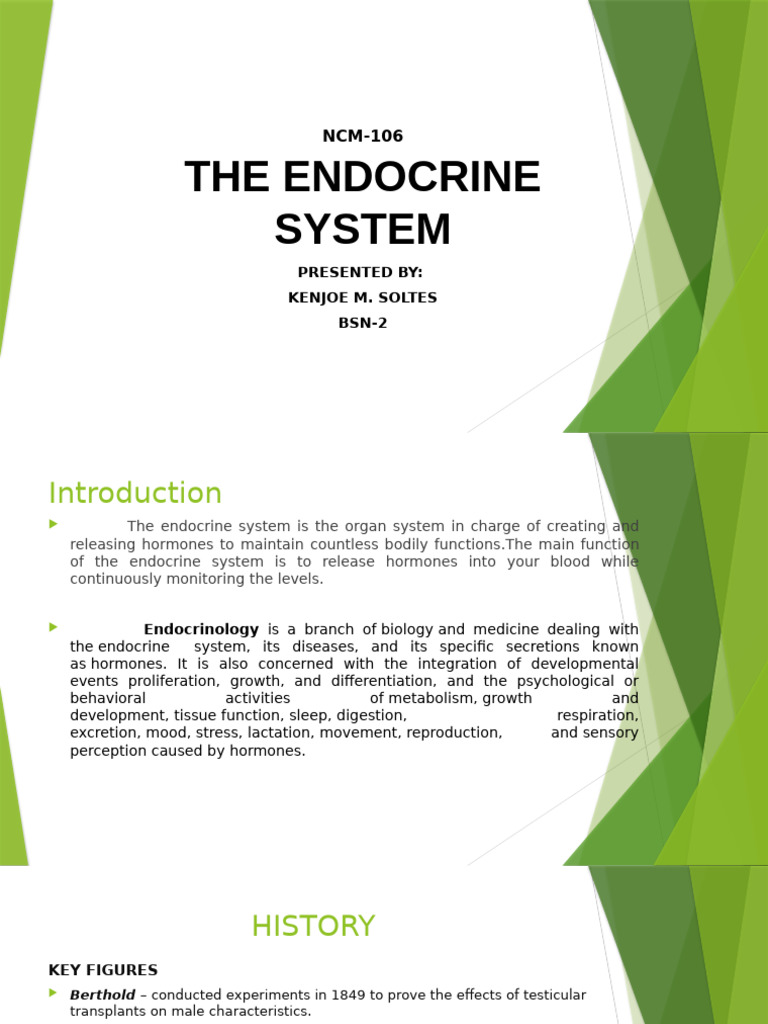 The Endocrine System | PDF | Endocrine System | Diabetes