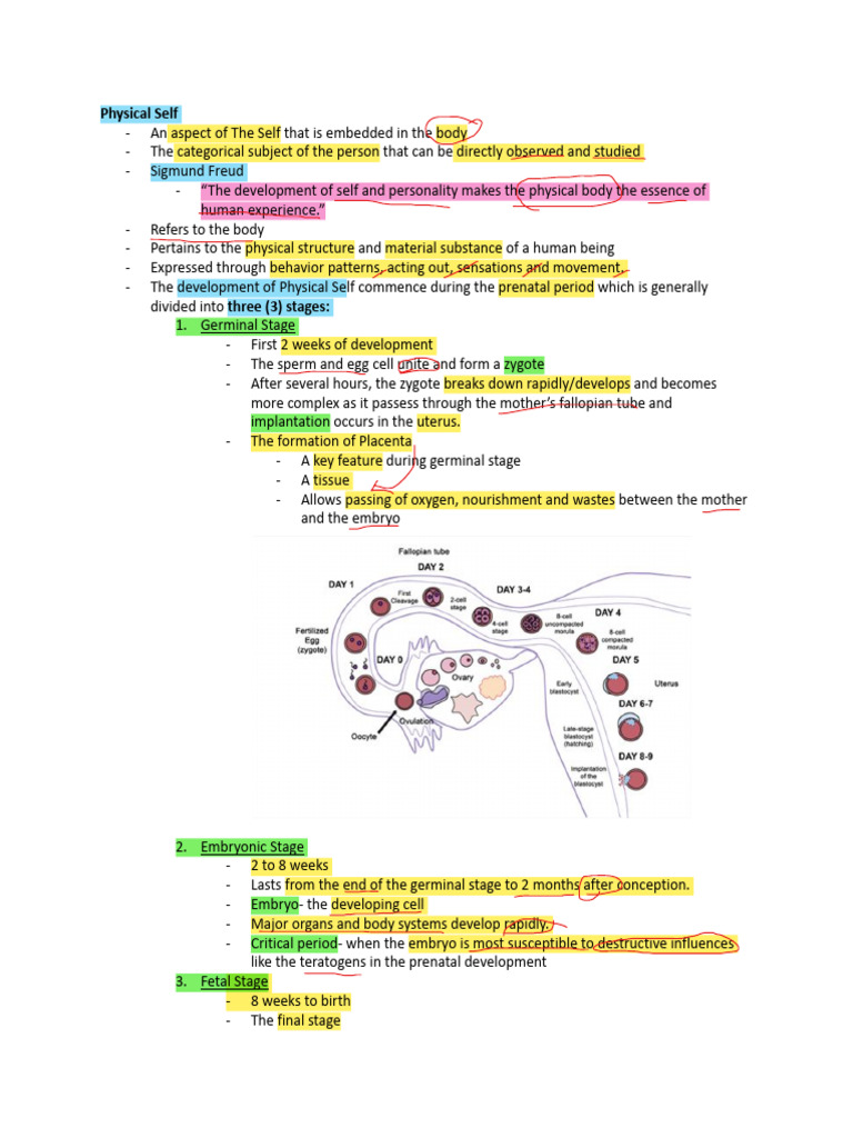 Physical Self - UTS Reviewer | PDF | Self Esteem | Body Image