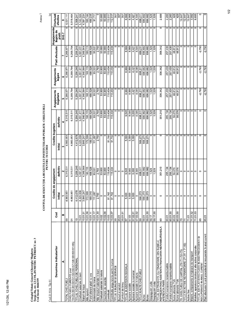 Detaliere Cheltuieli | PDF
