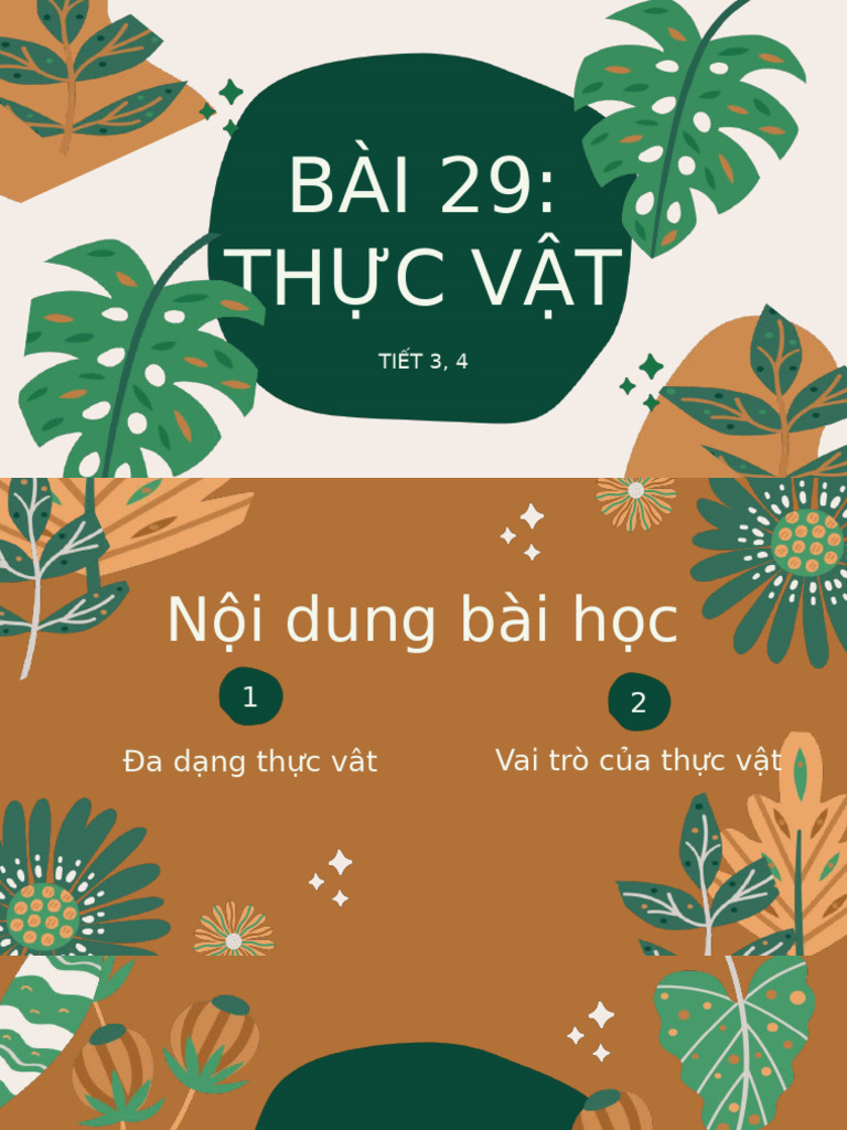 Bai 29 - Thuc Vat | PDF