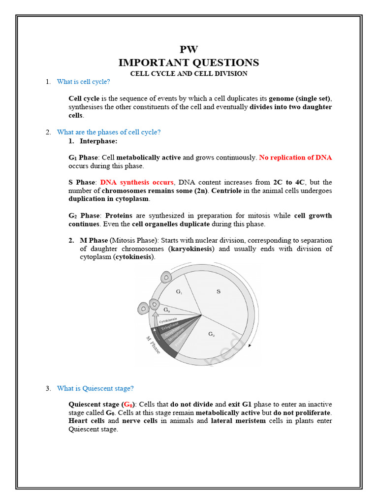 Q & A of Cell Cycle and Cell Division | PDF | Meiosis | Mitosis