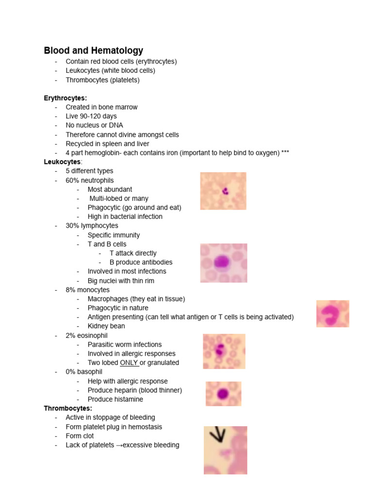 BIO Lab Blood and Lymphatics | PDF | Muscle Contraction | Action Potential