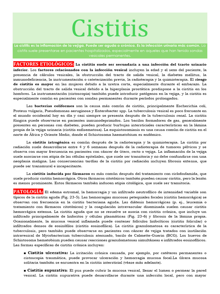 Cistitis + Tu Vejiga | PDF | Infección del tracto urinario | Cáncer