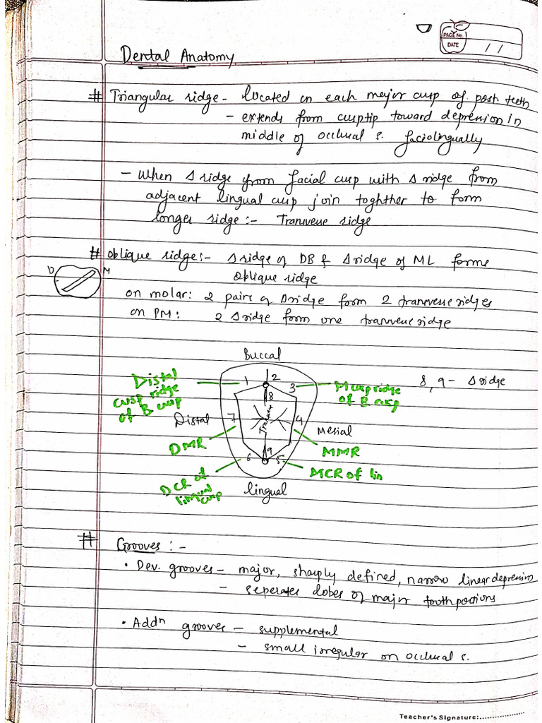 DA Notes | PDF