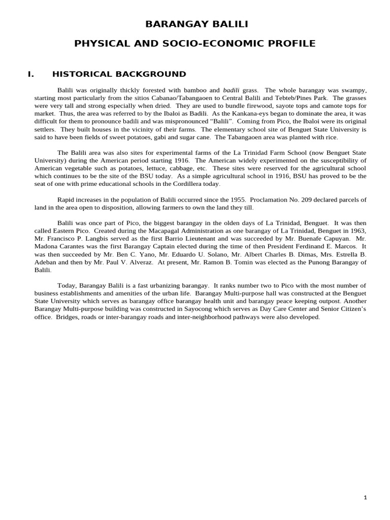 Brgy Balili Profile | PDF | Earth Sciences