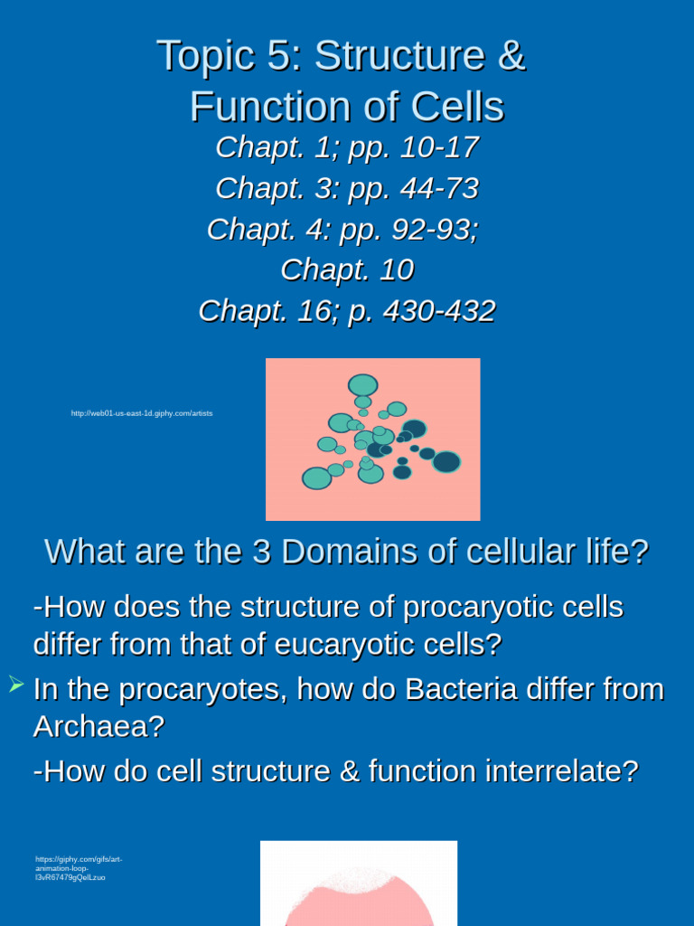 Topic 05 - Structure-Function Fall 2022 For Show Complete | PDF | Cell ...