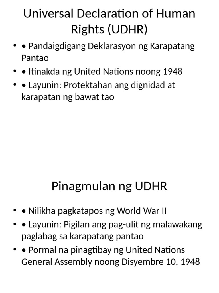UDHR Updated Presentation | PDF