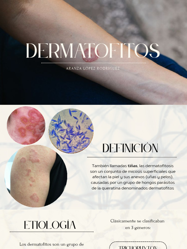 Dermatofito | PDF | Hongo | Microbiología