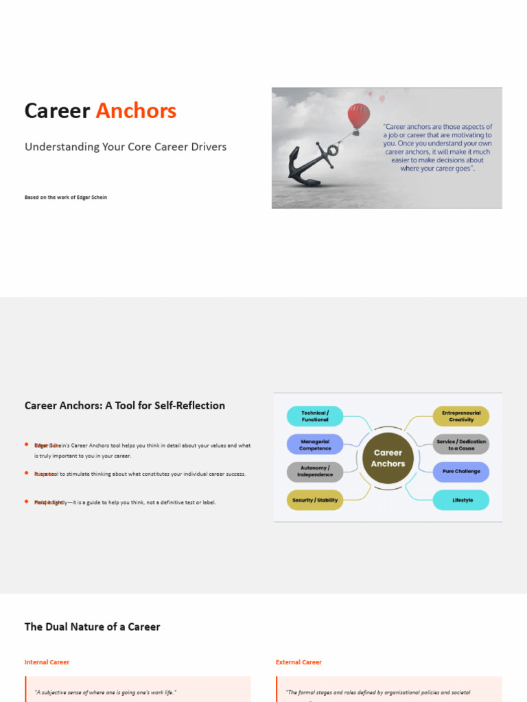 Career Anchors Understanding Your Core Career Drivers | PDF | Value ...