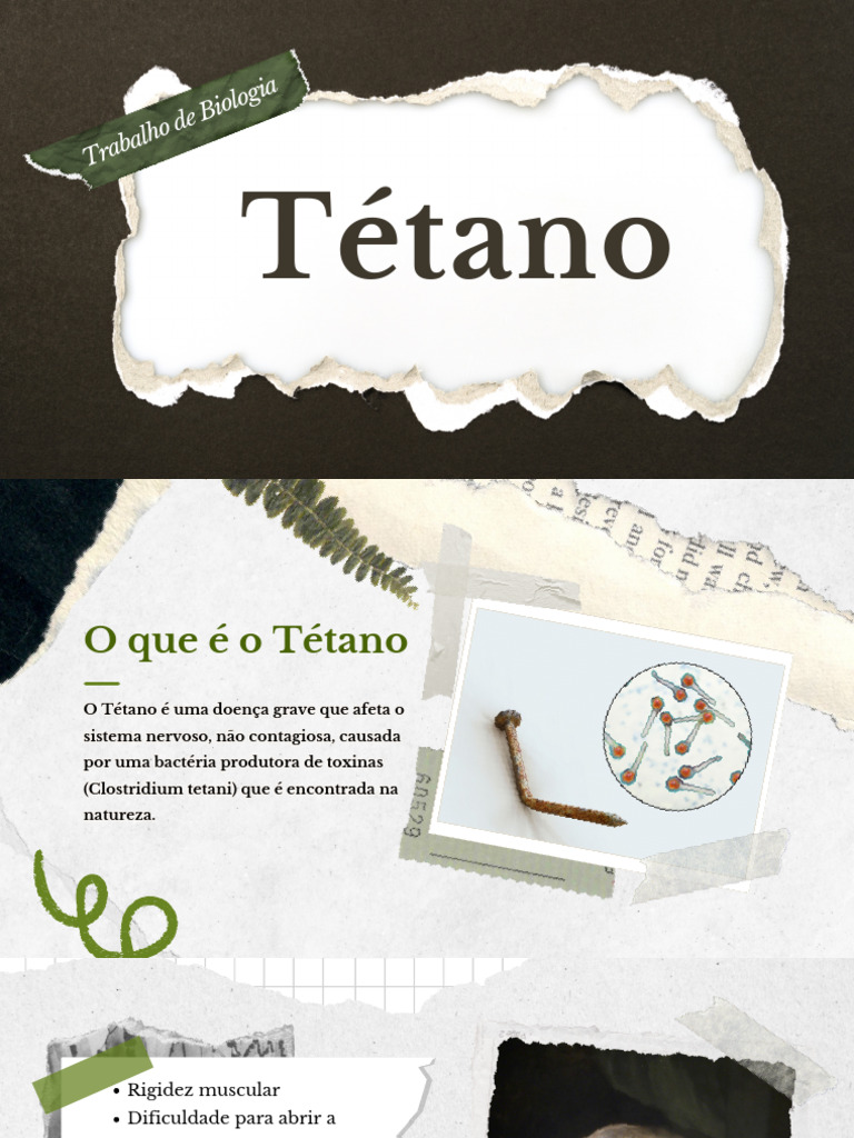 Trabalho sobre tétano | PDF | Especialidades médicas | Doenças e ...