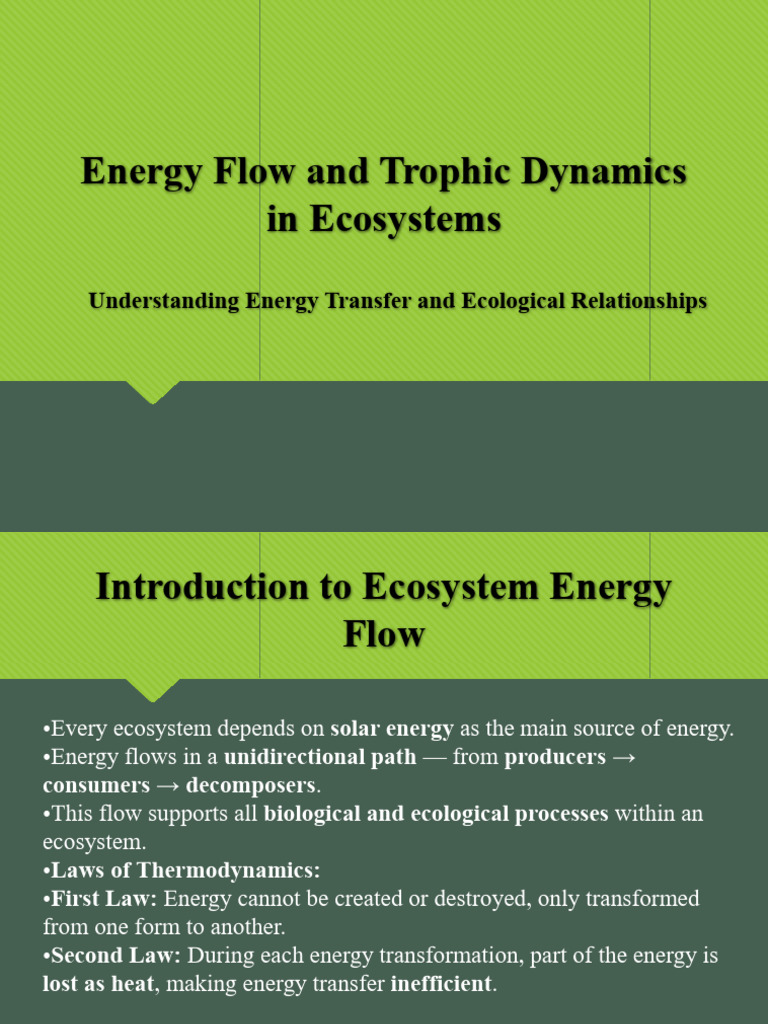 Energy Flow and Trophic Dynamics in Ecosystems | PDF | Food Web | Ecosystem