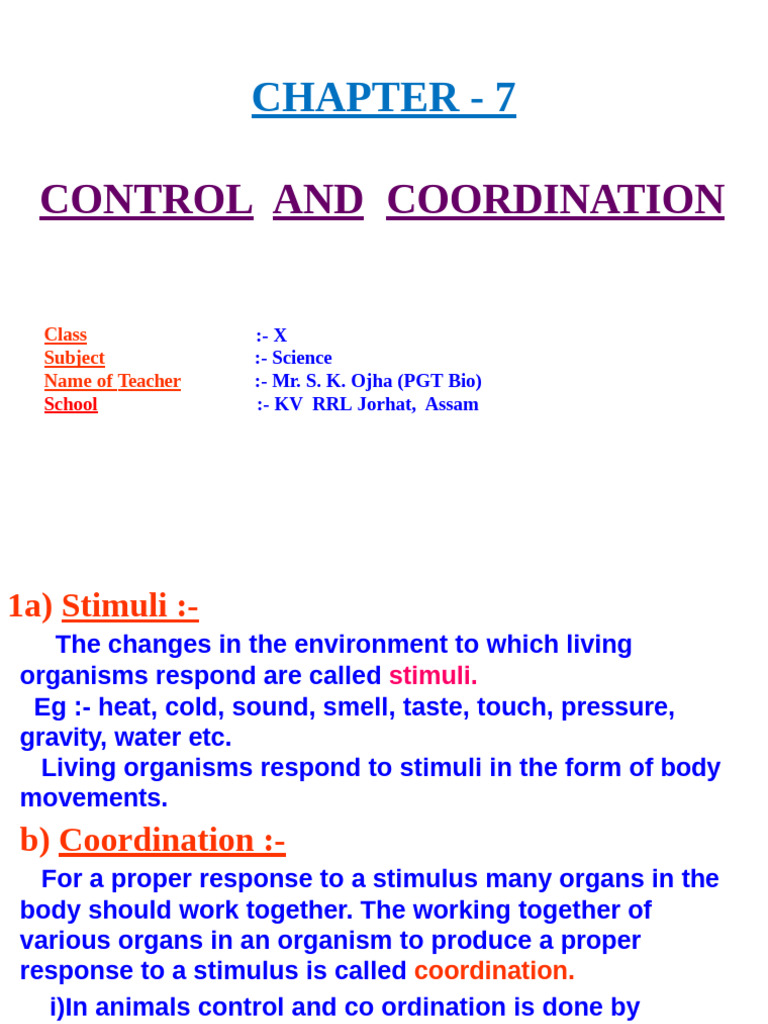 Control and Coordination | PDF | Neuron | Nervous System