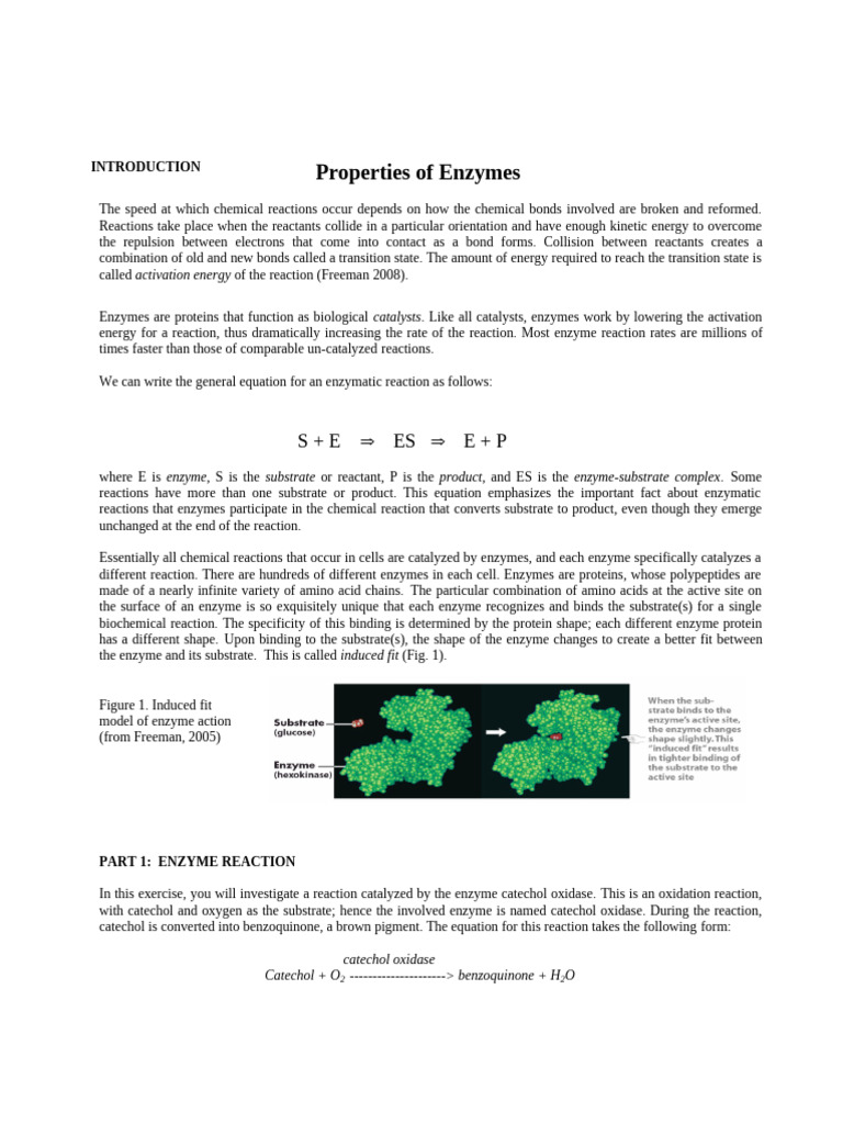 Lab 4 - Enzyme Lab Manual Spring 2022 | PDF | Enzyme | Ph