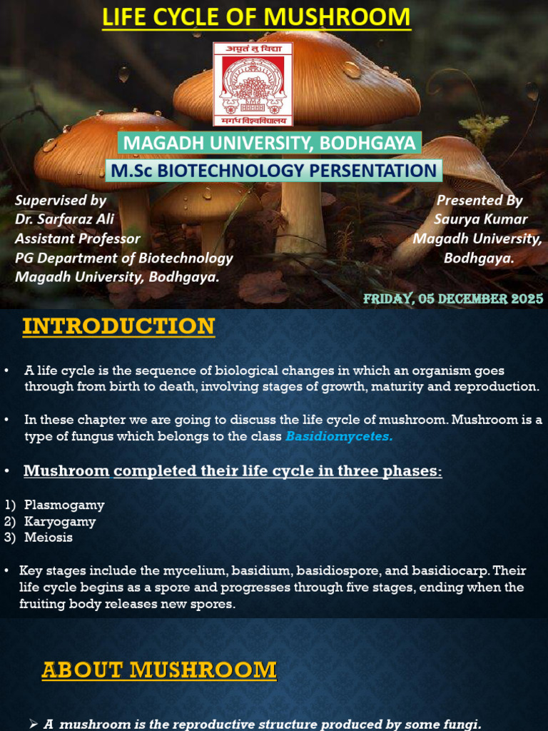 Mushroom Life Cycle | PDF | Organisms | Fungus
