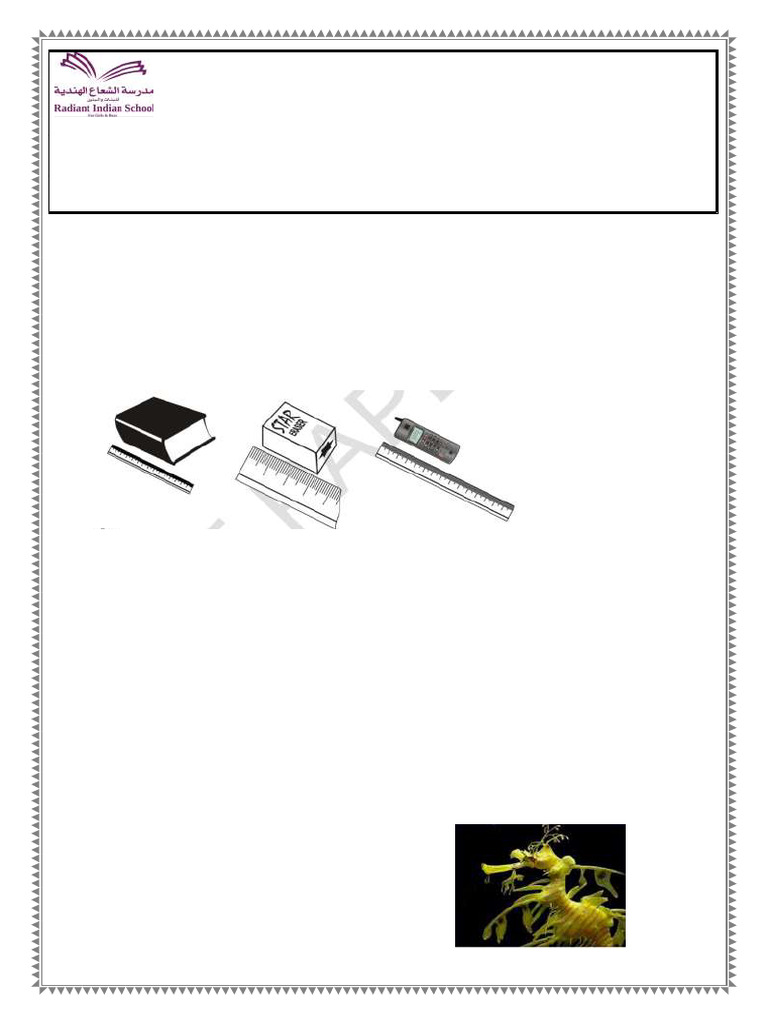 GR 6 Science Asset Worksheet-2 | PDF