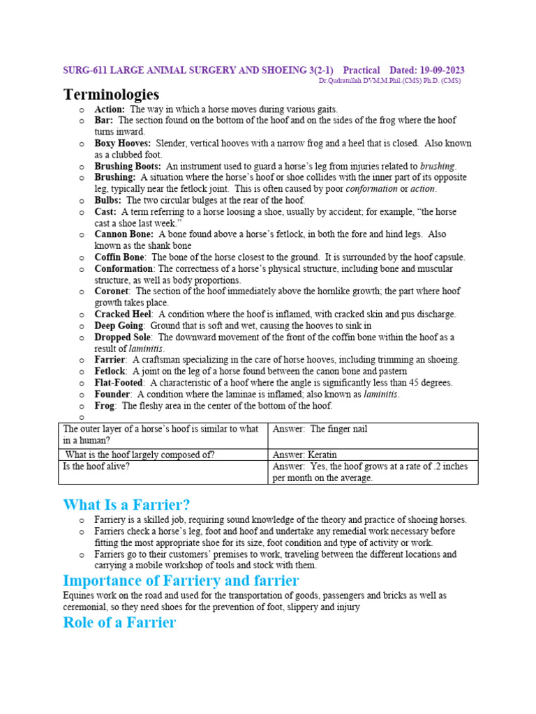 Lecture Farrier | PDF | Foot | Horses