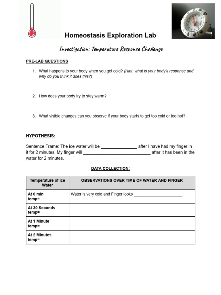 Homeostasis Lab Student Worksheet | PDF