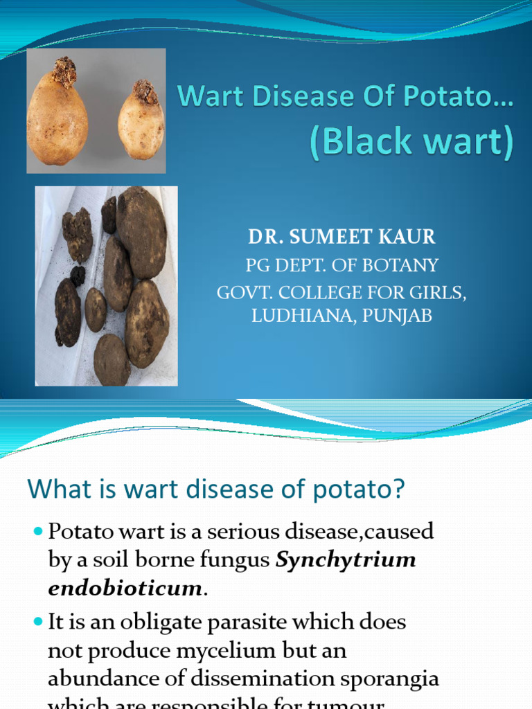 Wart Disease of Potato. 2 | PDF | Organisms | Plants