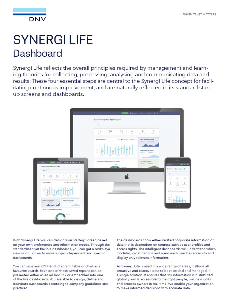 Synergi Life Dashboard Flier | PDF | Information | Information ...