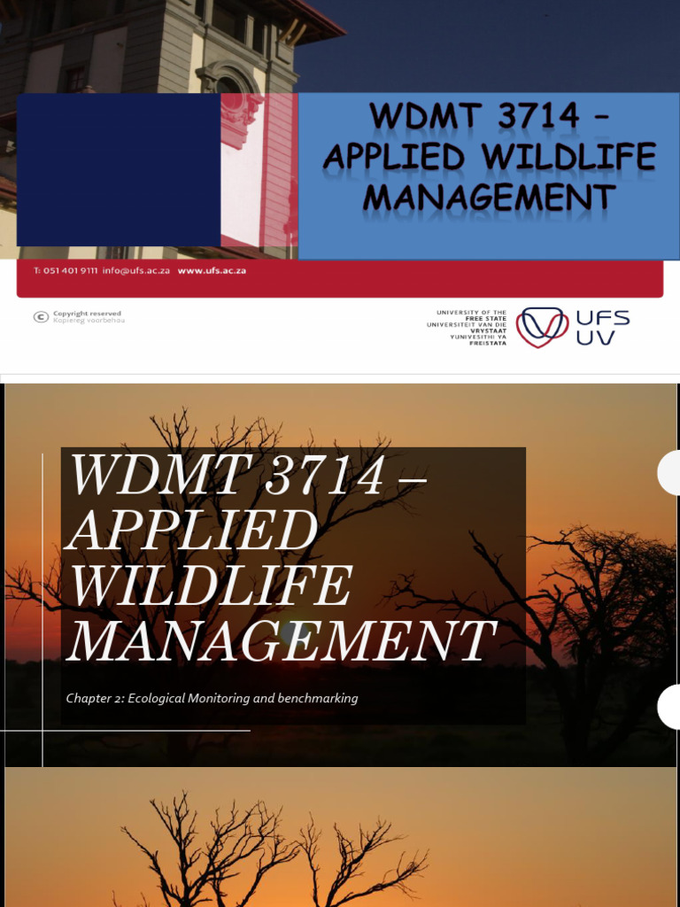 WDMT 3714 Wildlife Species | PDF | Cattle | Rhinoceros