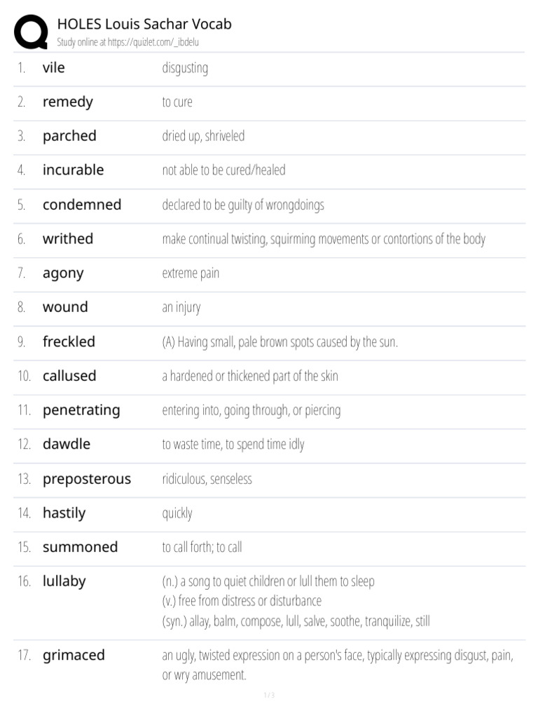 HOLES Louis Sachar Vocab | PDF