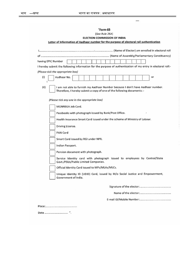 Form-6B_en | PDF