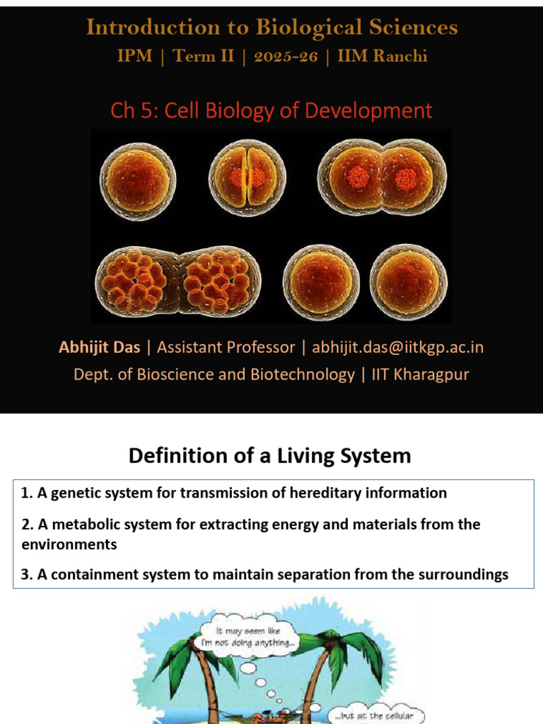Ch5-IIMR (1) | PDF | Ploidy | Meiosis