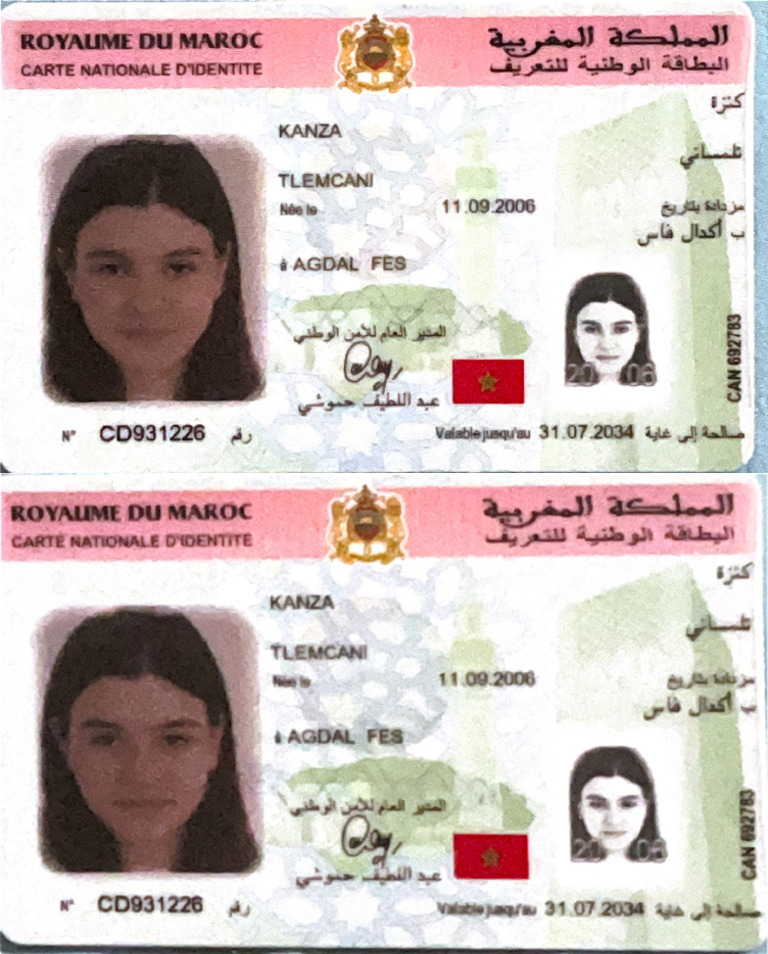 Document numérisé | PDF
