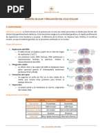 Fases y tipos de fisión binaria | PDF | Biología Celular) | Microorganismo